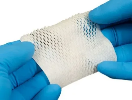 Antimicrobial Regenerative Wound Matrix Market