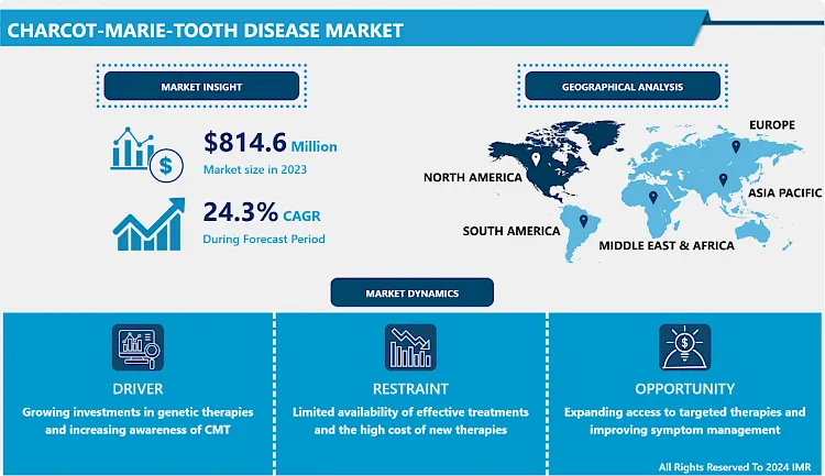 Charcot-Marie-Tooth Disease Market Outlook: Key Trends, Innovations ...