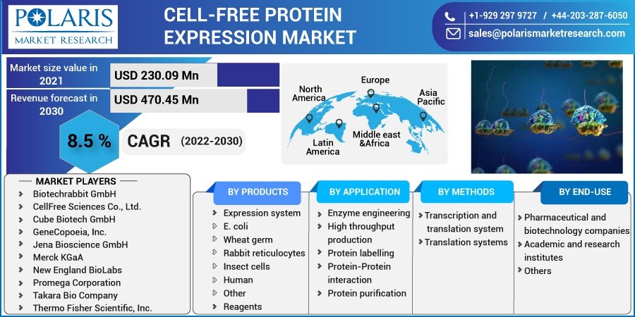 Cell-free Protein Expression Market Poised for Remarkable Growth by ...
